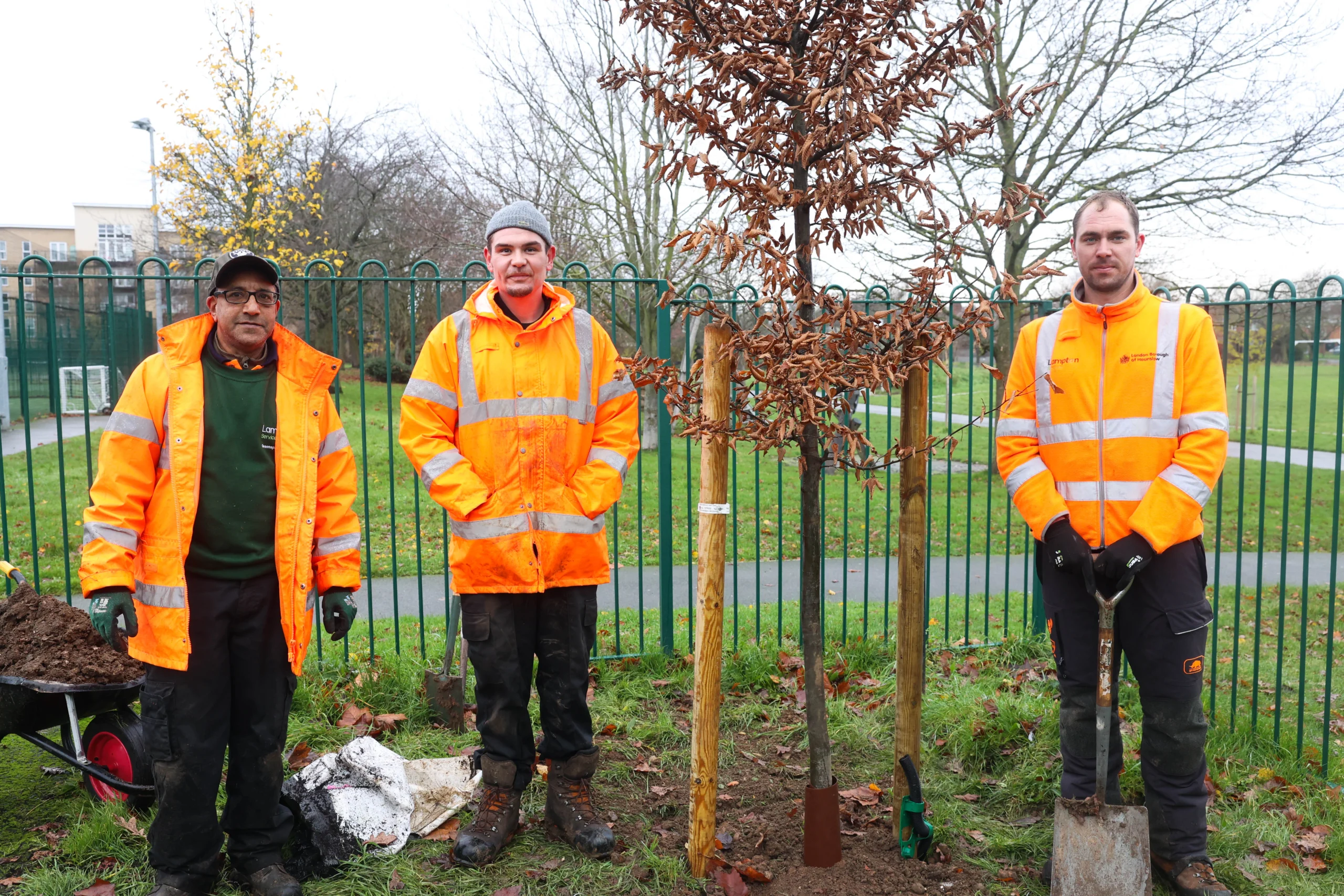 Lampton Services plants more than 500 trees in Hounslow, supporting a ...